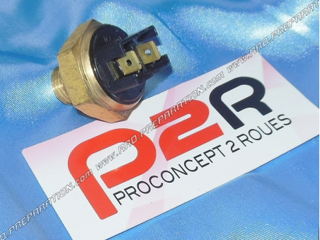 P2R temperature sensor for MINARELLI AM6 motor housing