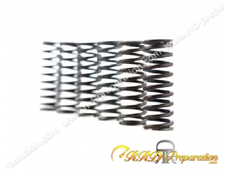 Set of 6 RMS reinforced clutch springs for YAMAHA FZR 250cc, SUZUKI RM ...