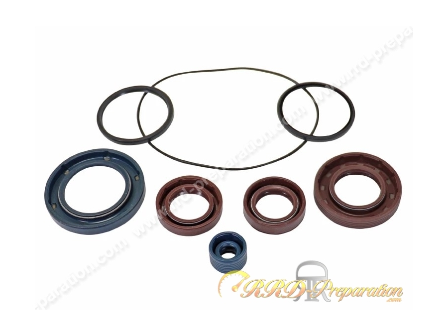 Complete ARTEIN oil seal kit for PIAGGIO / GILERA scooters (Typhoon ...